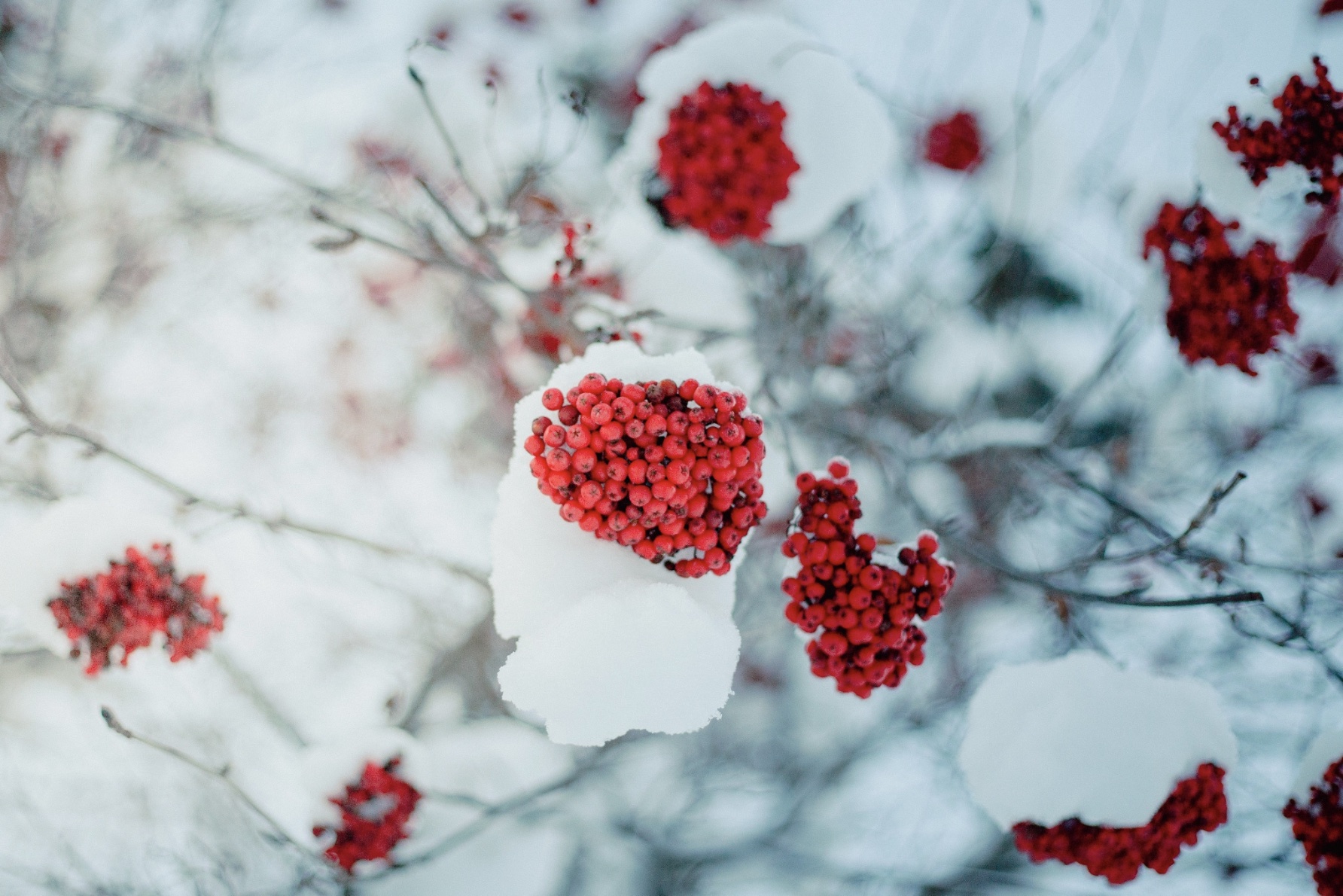 Health Fairs & Affordable Blood Tests in Anchorage, Fairbanks, Juneau...